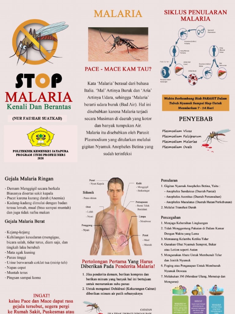 Leaflet Malaria | PDF