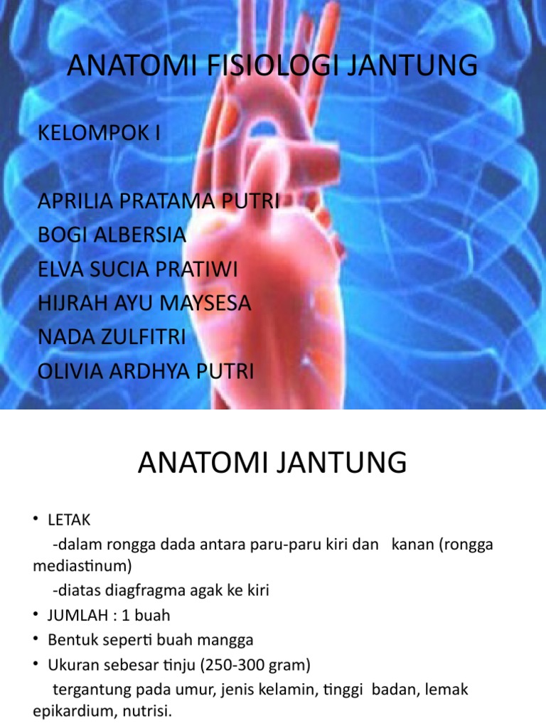 Anatomi Fisiologi Jantung Kel 1 | PDF | Griya & Taman | Kesehatan Holistik
