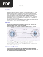 Observing Onion Cell Structure | PDF | Staining | Cell (Biology)