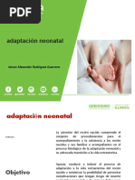 Adaptación Neonatal | PDF | Infantes | Parto