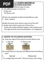 Worksheet - Parts of A Plant - Answer Key | PDF | Leaf | Plants