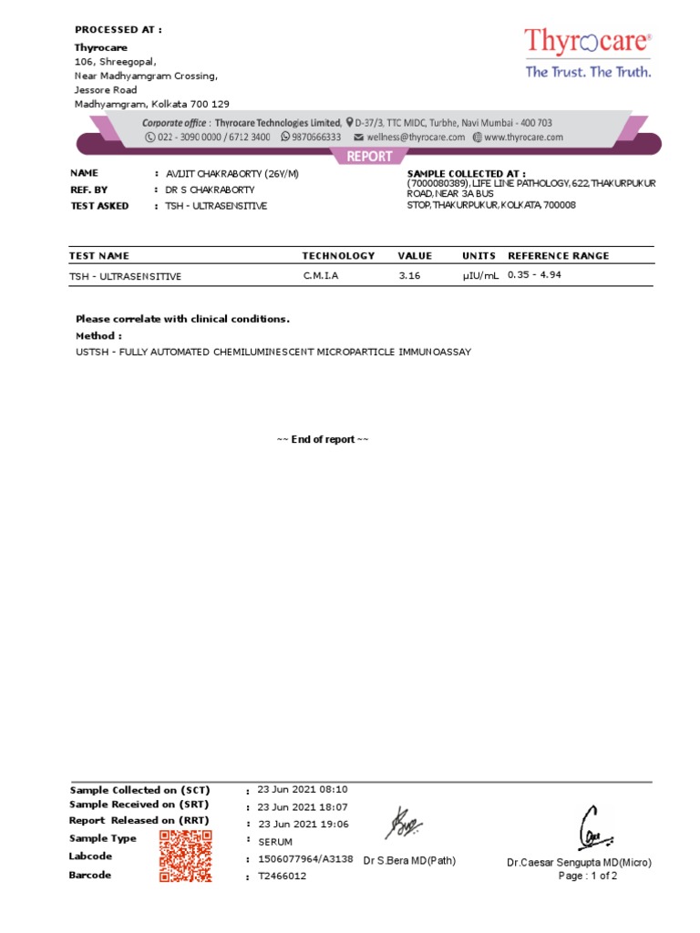 Updated Report | PDF