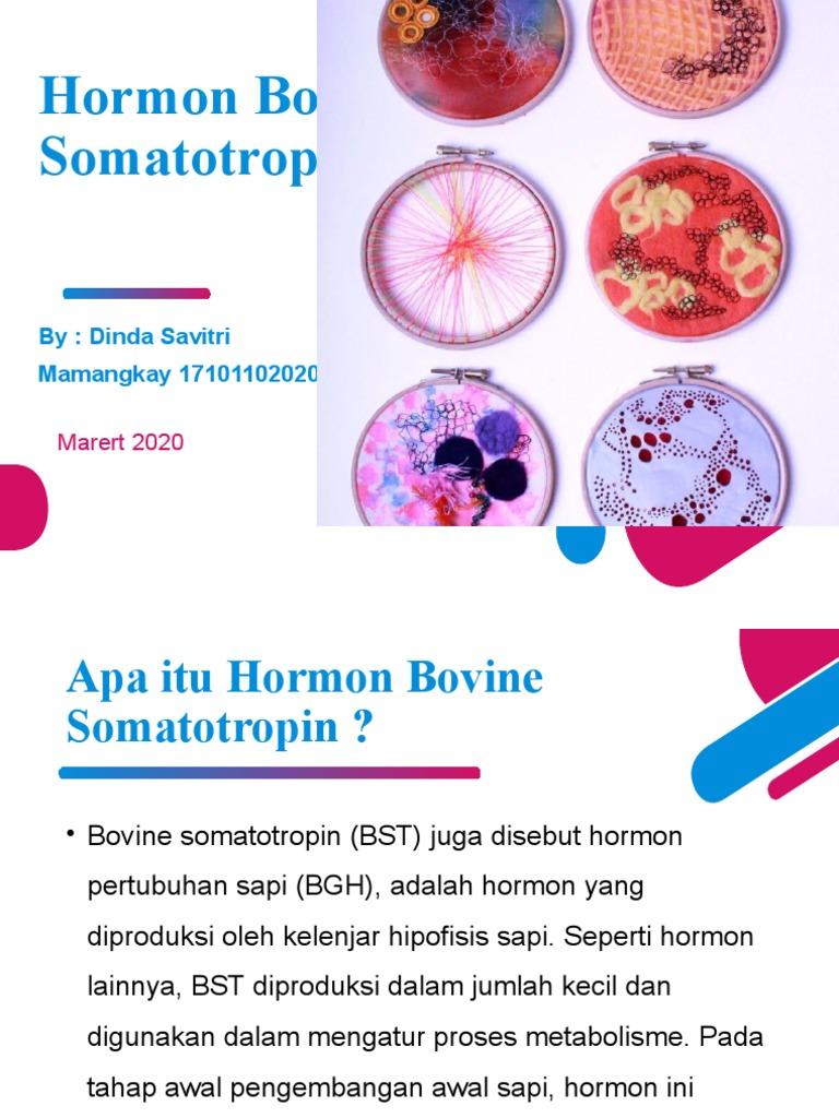 Hormon Bovine Somatotropin | PDF