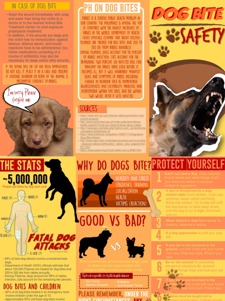 Dog Bite Flyer | PDF | Dogs | Animals And Humans