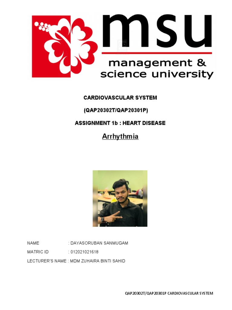 CARDIOVASCULAR SYSTEM Assignment 1b | PDF | Heart Rate ...