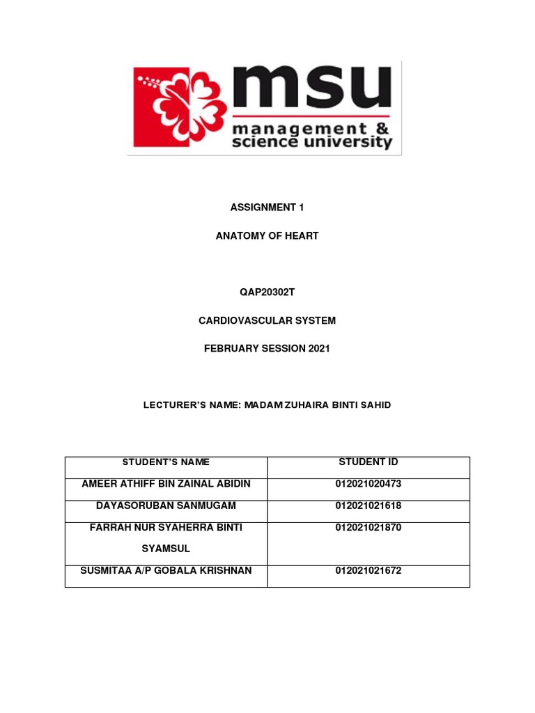 Cardiovascular System Assignment | PDF | Vein | Heart