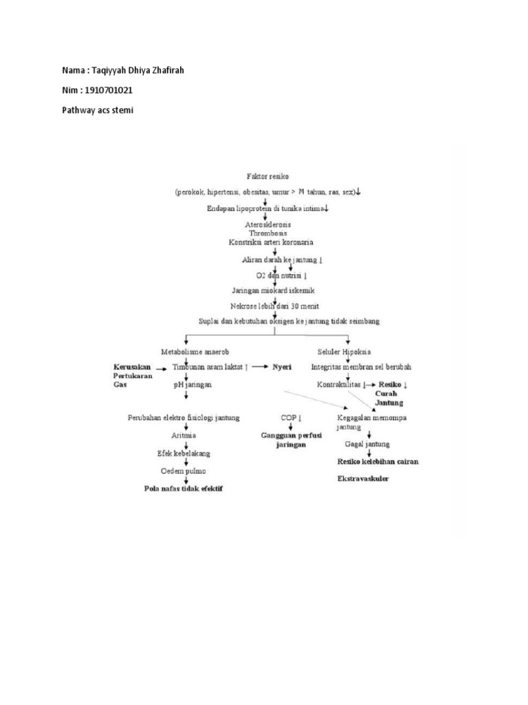 Pathway Acs Stemi | PDF