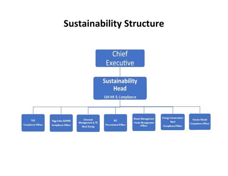 Sustainability Organogram | PDF