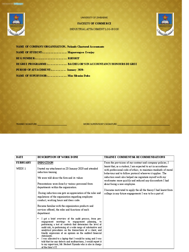Industrial Attachment Logbook Sample | PDF | Audit | Depreciation