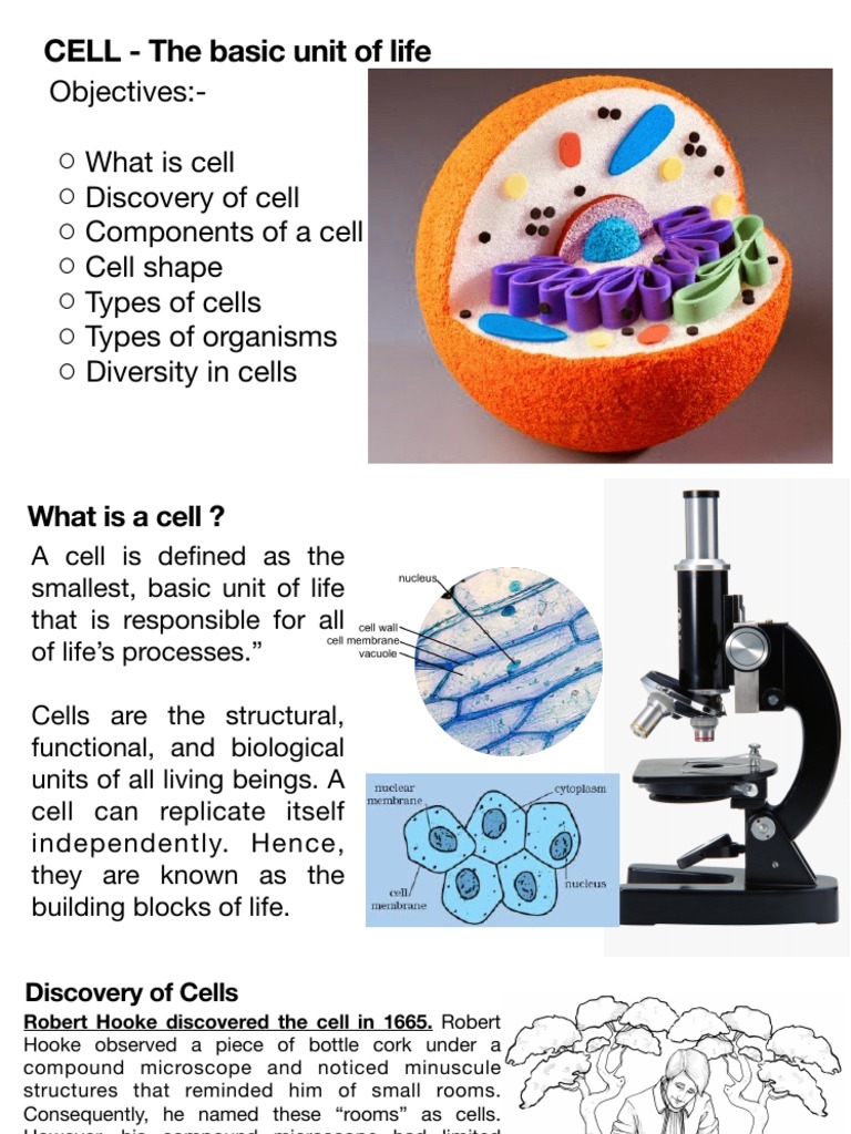 Cell Structure 9th Class | PDF | Organelle | Cell (Biology)