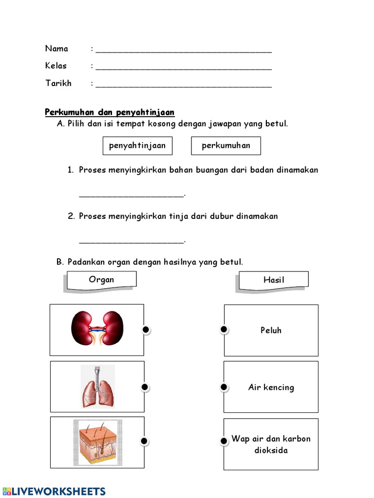 PERKUMUHAN | PDF