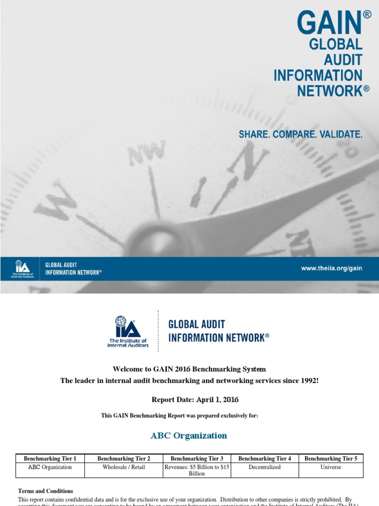 Sample GAIN Benchmarking Survey Report | PDF | Internal Audit | Audit