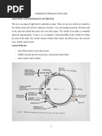 Tangent Screen Visual Field Testing | PDF | Retina | Color
