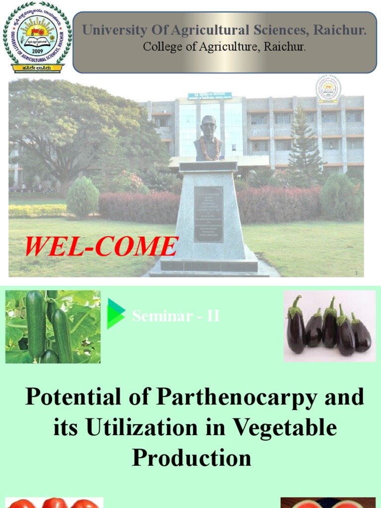 Parthenocarpy Final Presentation Harnoor | PDF | Fruit | Plant Breeding