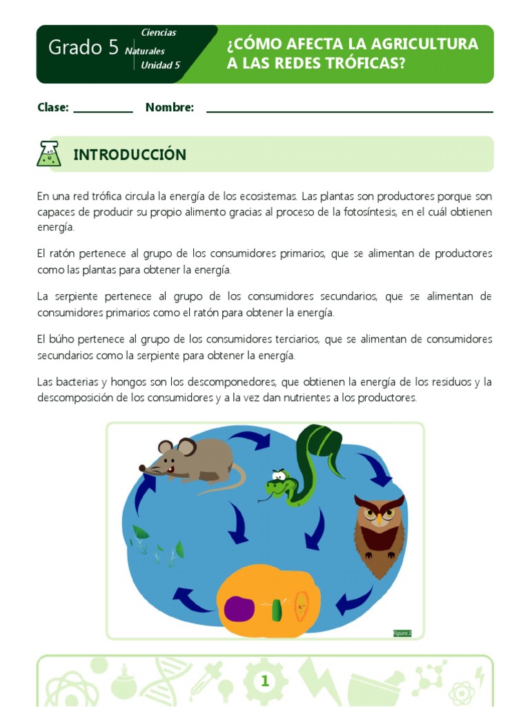 Anexo 5 | PDF | Red alimentaria | Agricultura