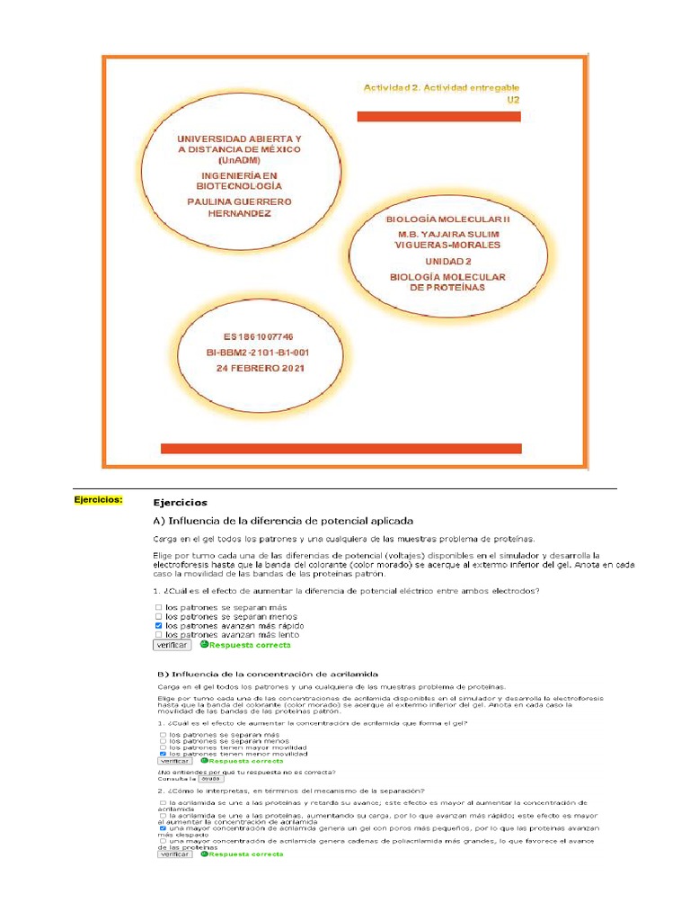 BBM2 U2 A2 Pagh | PDF | Proteínas | Aminoácidos