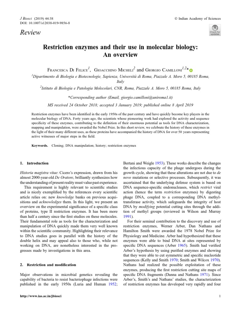 Restriction Enzymes and Their Use in Molecular Biology | PDF ...