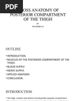 Mnemonics for Skeleton & Muscles | PDF | Human Leg | Foot