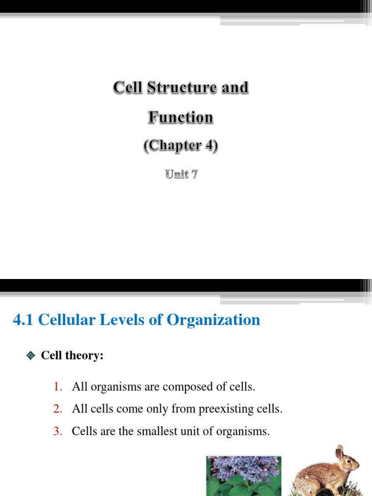 Unit-7-8-Cell Structure and Function (Chapter 4) | PDF | Endoplasmic ...