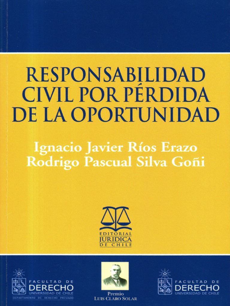 Ignacio Javier Ríos Erazo y Rodrigo Pascual Silva Goñi ...