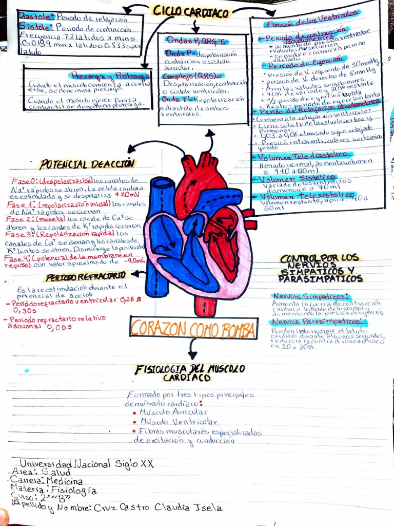 Corazon Como Bomba y Electrocardiograma | PDF | Electrocardiografia ...