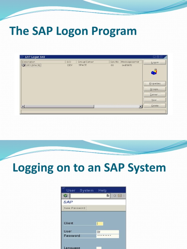 The SAP Logon Program | PDF