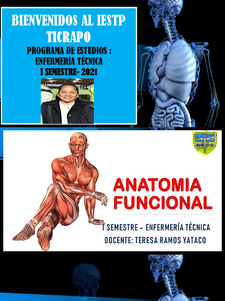 Clase De Anatomia Funcional N 1 Pdf