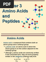 Handout 3a Peptide Drawing | PDF