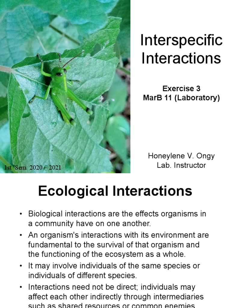 Ex3 Interspecific Interactions | PDF | Parasitism | Symbiosis
