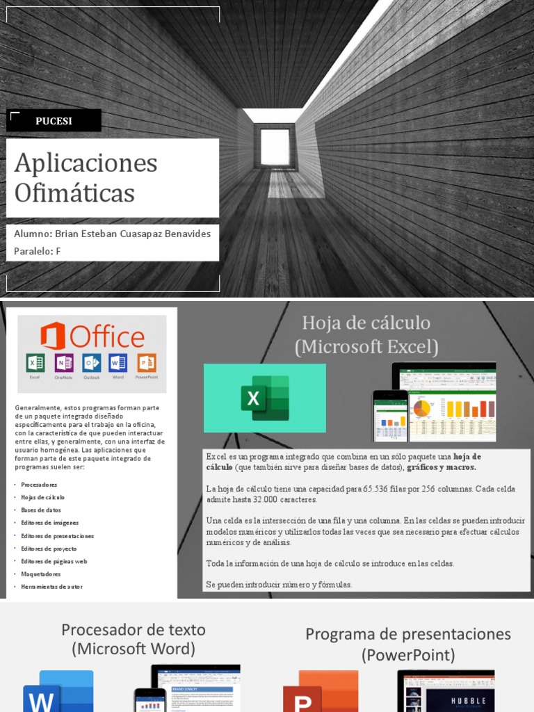 Aplicaciones Ofimáticas | PDF | Microsoft | Microsoft Excel