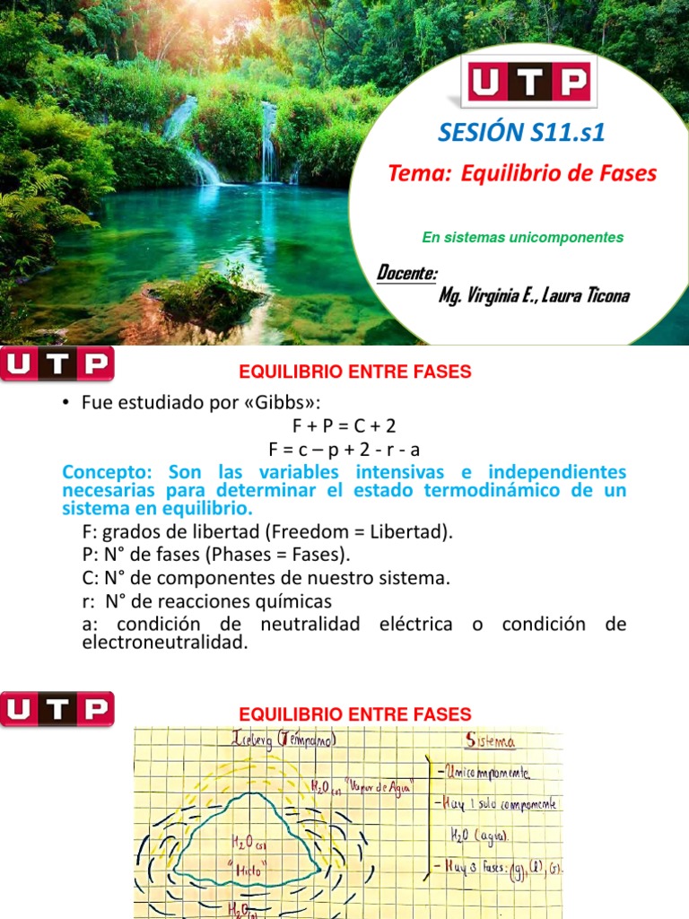 S11.s1 - Equilibrio de Fases - Grados de Libertad | PDF | Fase (materia ...