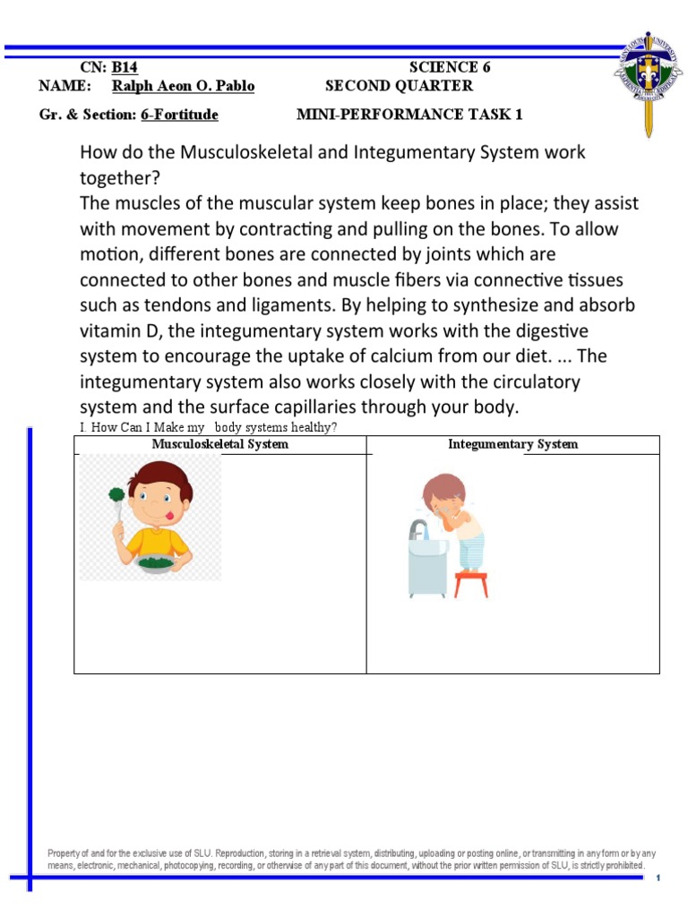 Science Mini Task 1 (2nd Quarter) | PDF