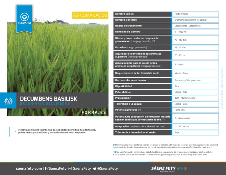 Ficha Tecnica Pasto Decumbens | PDF