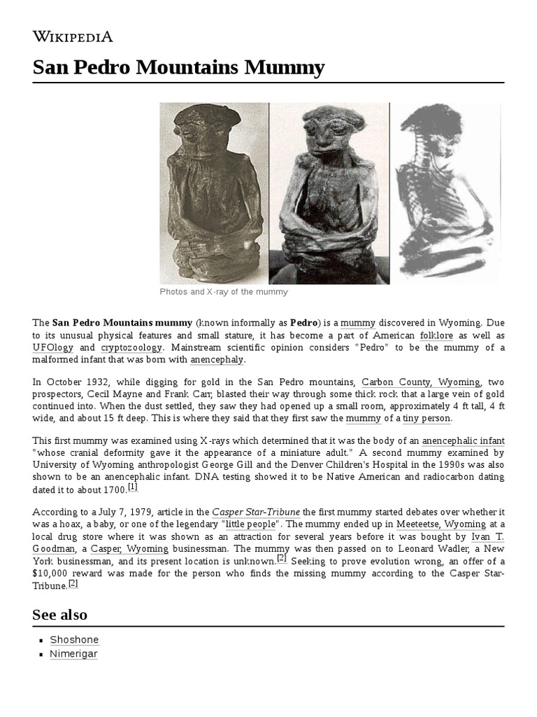 San Pedro Mountains Mummy Overview | PDF | Nature