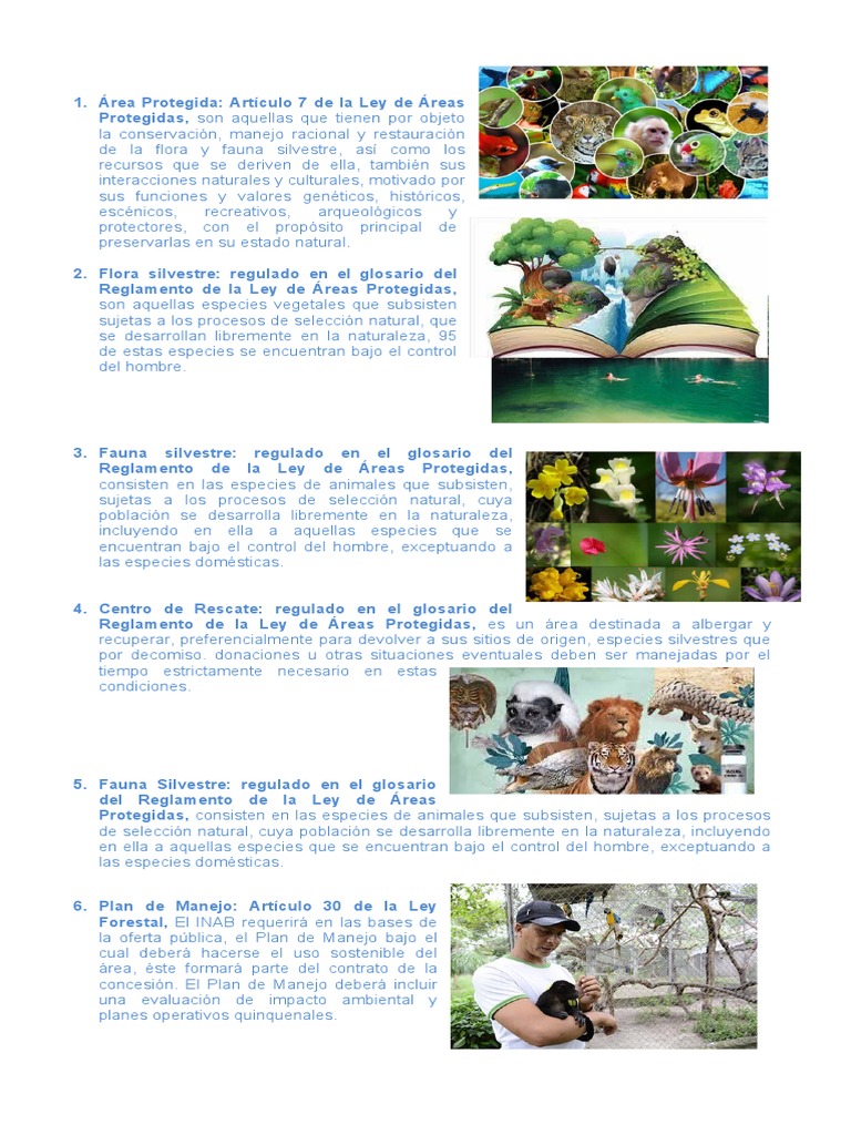 Vocabulario | PDF | Fauna | Los bosques