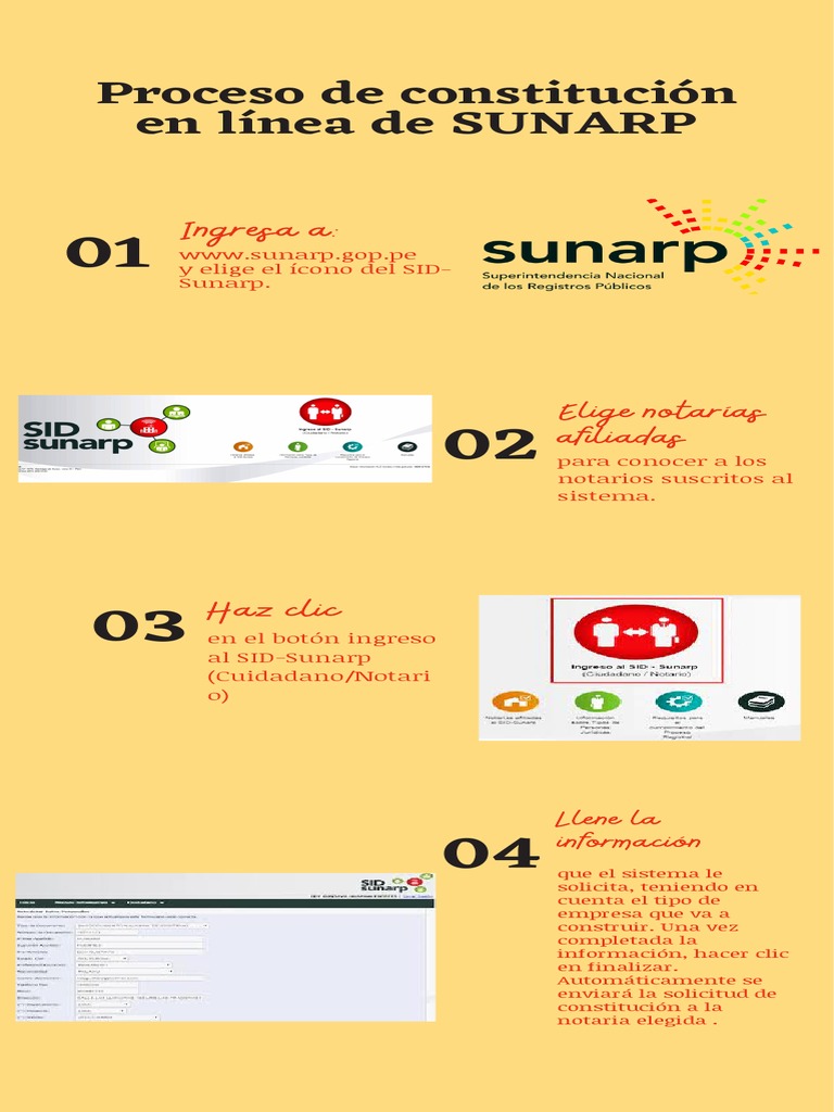 Proceso de Constitución en Línea de SUNARP | PDF