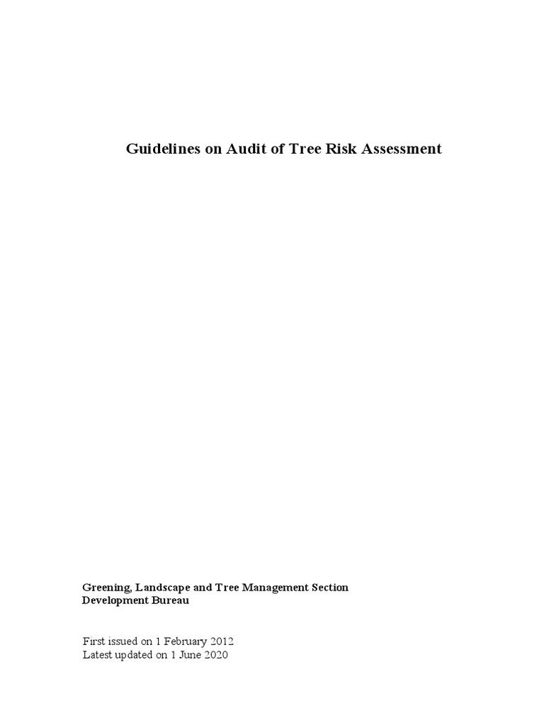 Guidelines On Audit of TRA | PDF | Risk Assessment | Audit