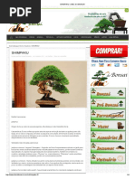 Bula - Benevia | PDF | Agricultura | Plantas