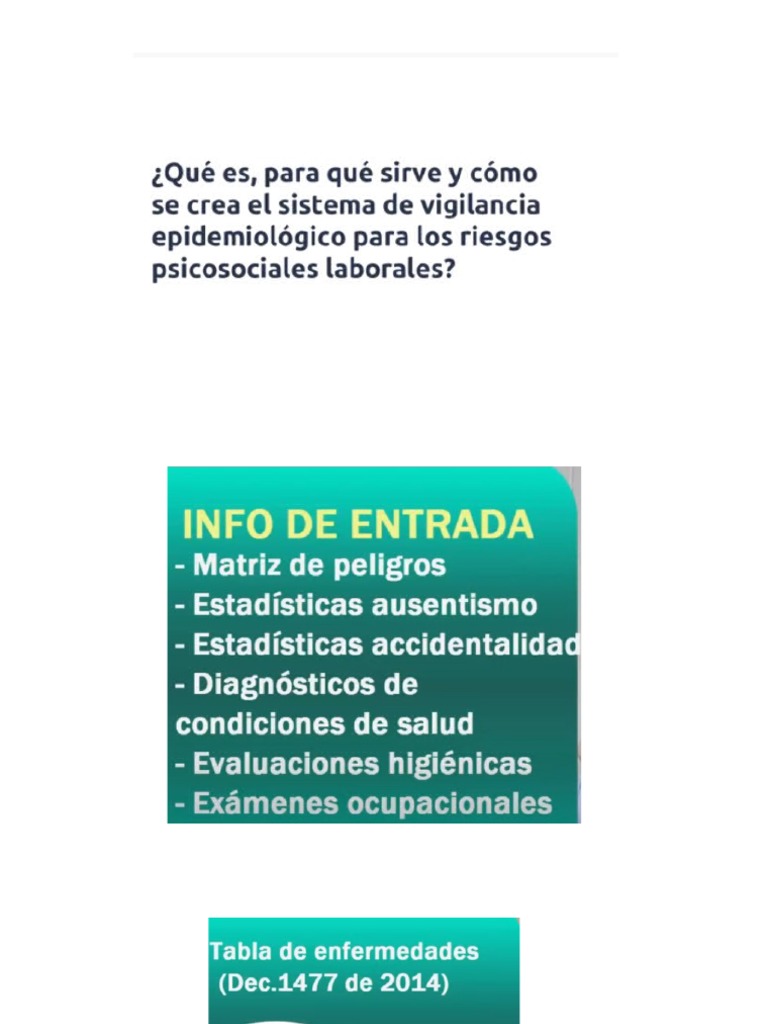 Como Realizar El Sive | PDF