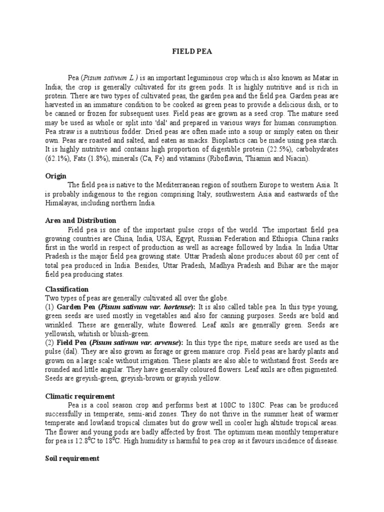 Field Pea | PDF | Pea | Legume