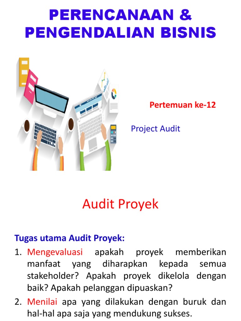 PPB-12-Project Audit | PDF