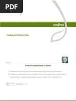 Pechay Growth and Production Guide | PDF | Sowing | Seedling