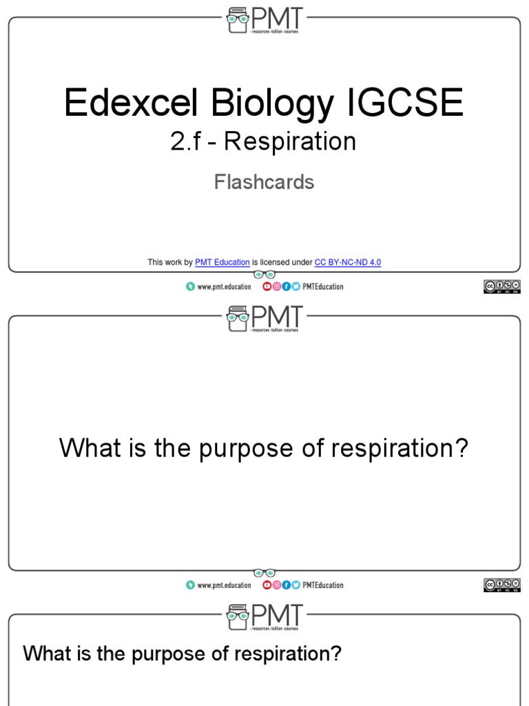 IGCSE Respiration Overview and Flashcards | PDF | Cellular Respiration ...