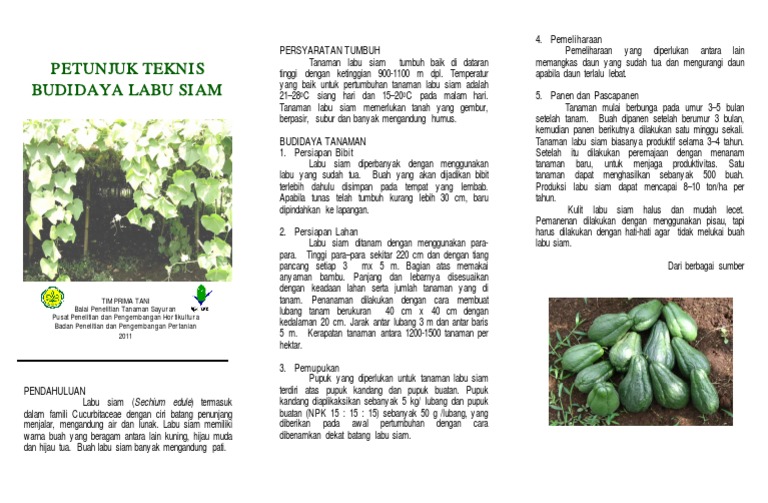 Juknis Labu Siam | PDF | Griya & Taman