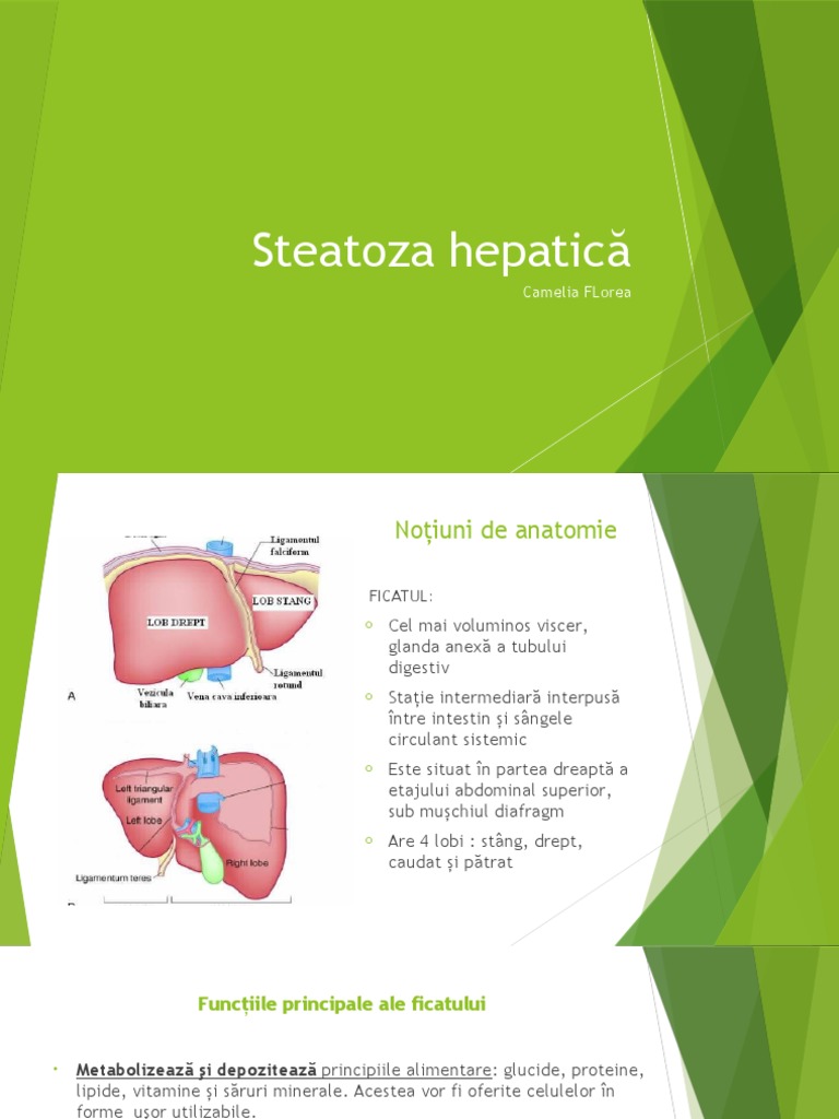 Steatoza Hepatica | PDF