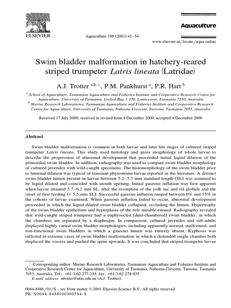 Swim Bladder Malformation in Hatchery-Reared Striped Trumpeter Latris ...