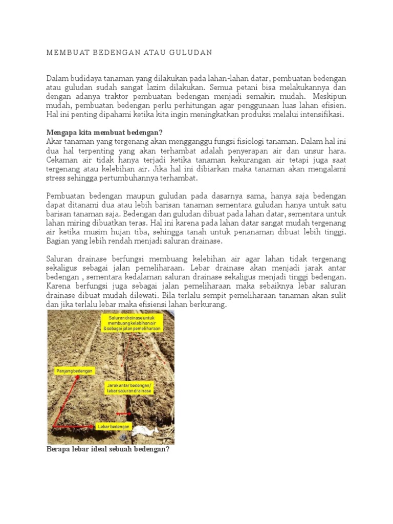 Kriteria Pembuatan Bedengan Tanaman | PDF