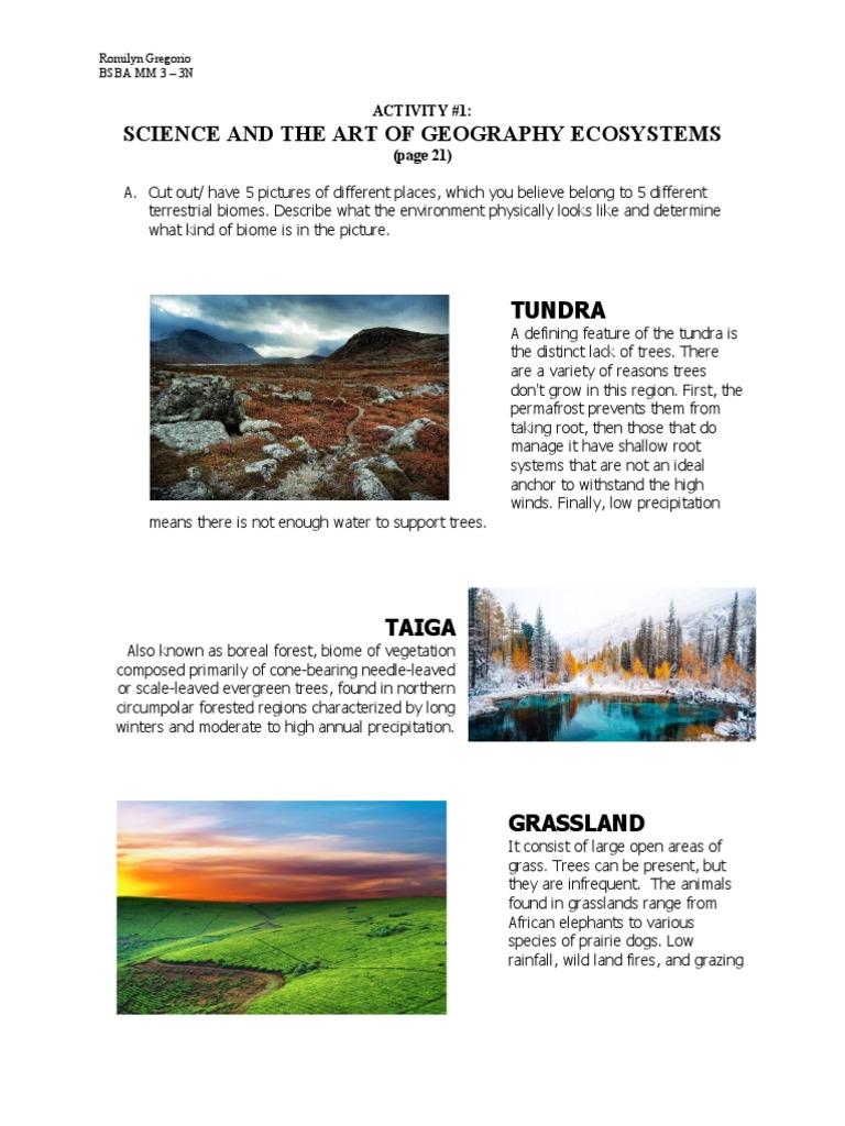 People and Earth's Ecosystem Overview | PDF | Hominidae | Ape