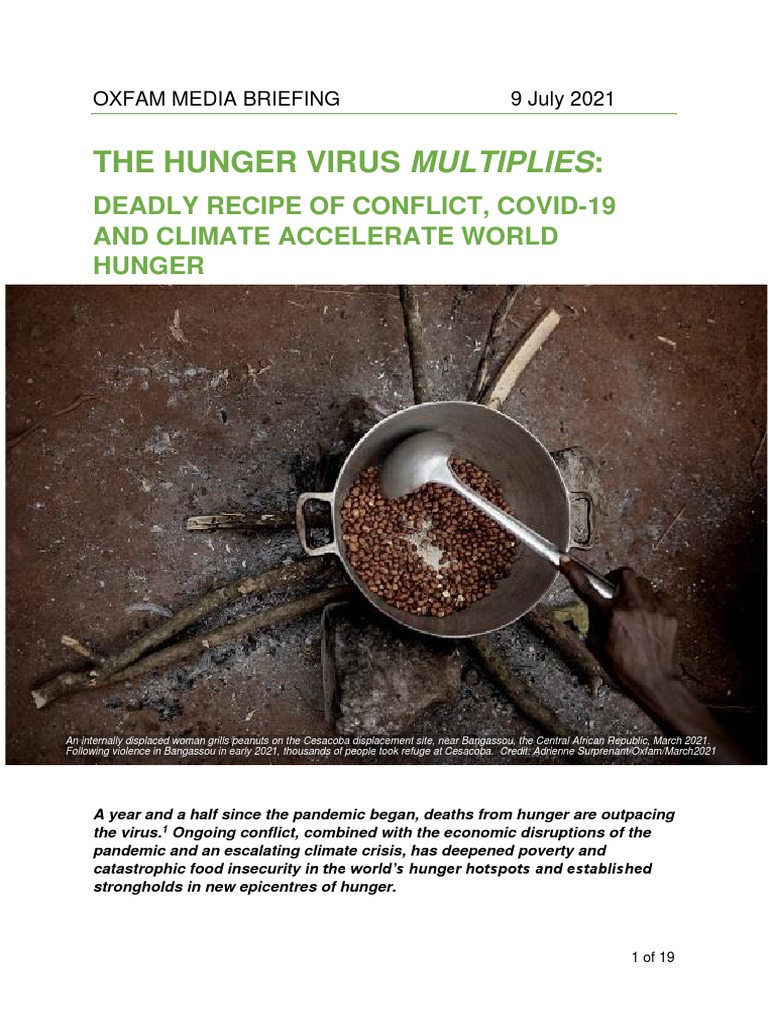 The Hunger Virus 2.0 - Media Brief - EN | PDF | Food Security | Hunger