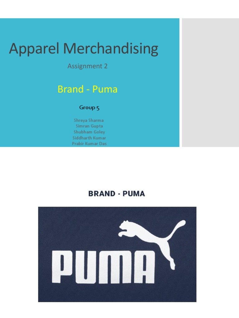 AM Puma Assignment 2 | PDF